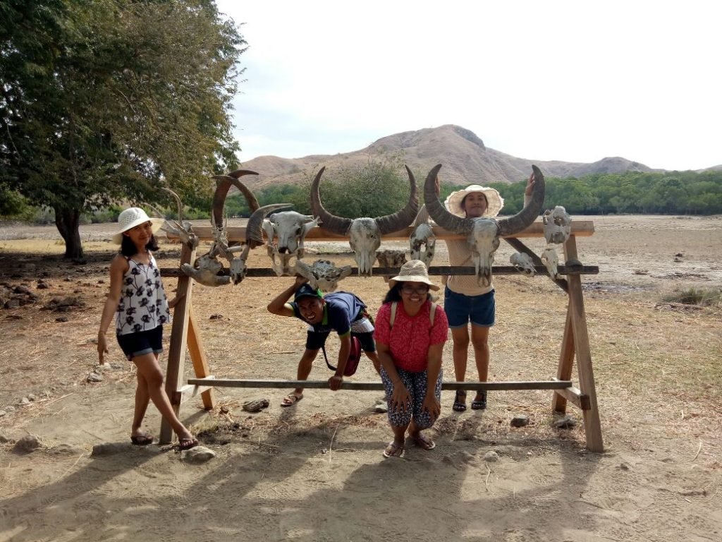 RINCA ISLAND I | Flores Island Indonesia Tour, Komodo Tour Packages ...