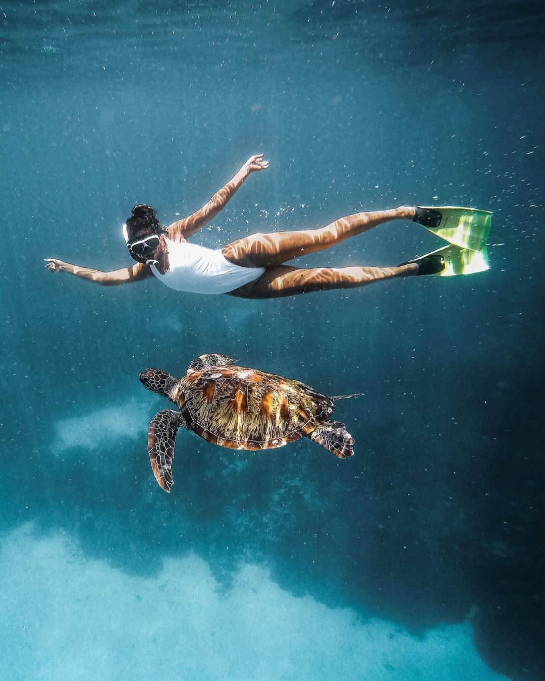 Turtle City-Siaba Island Snorkeling Site | Flores Tours, Komodo Tour ...